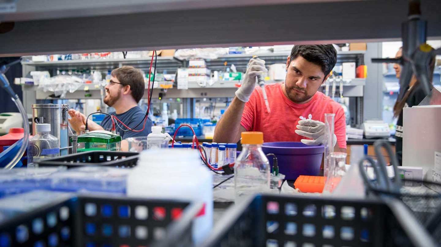 Prospective Postdocs | Postdoctoral Affairs | Brown University